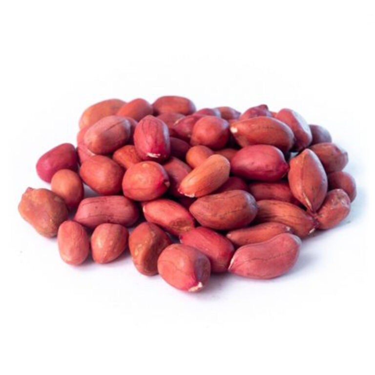 Raw Peanuts | Rata Kaju - Bulk - KiyaGo