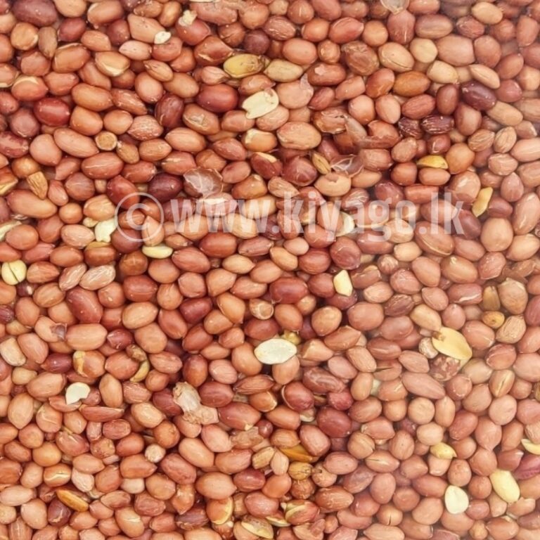 Roasted Peanut 100g - KiyaGo